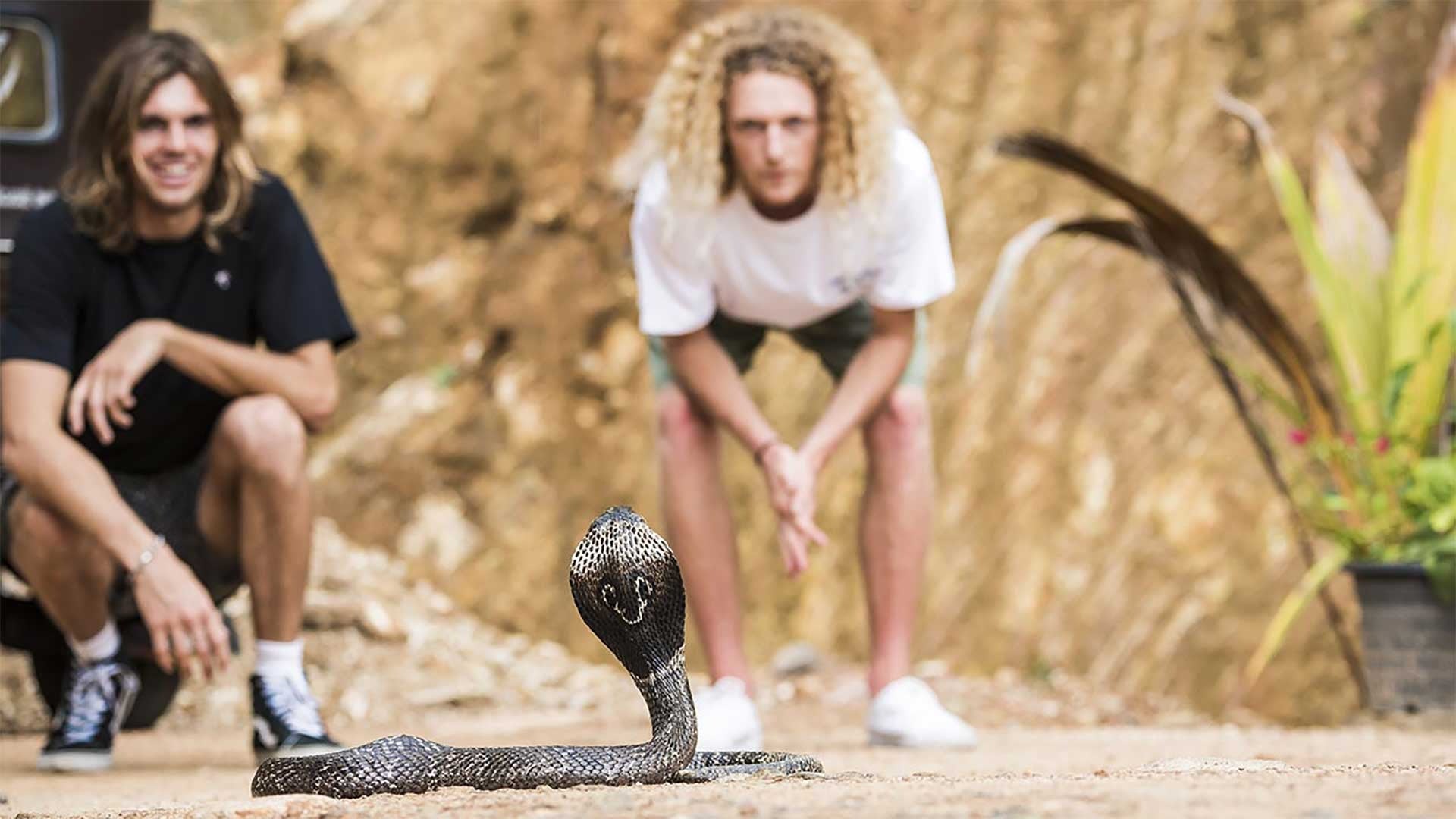 The Search: No Sudden Movements – Rip Curl
